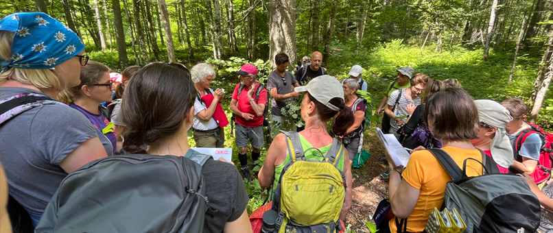 Pharmakobotanische Exkursion 2026