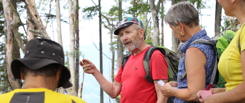 Pharmakobotanische Exkursion 2026